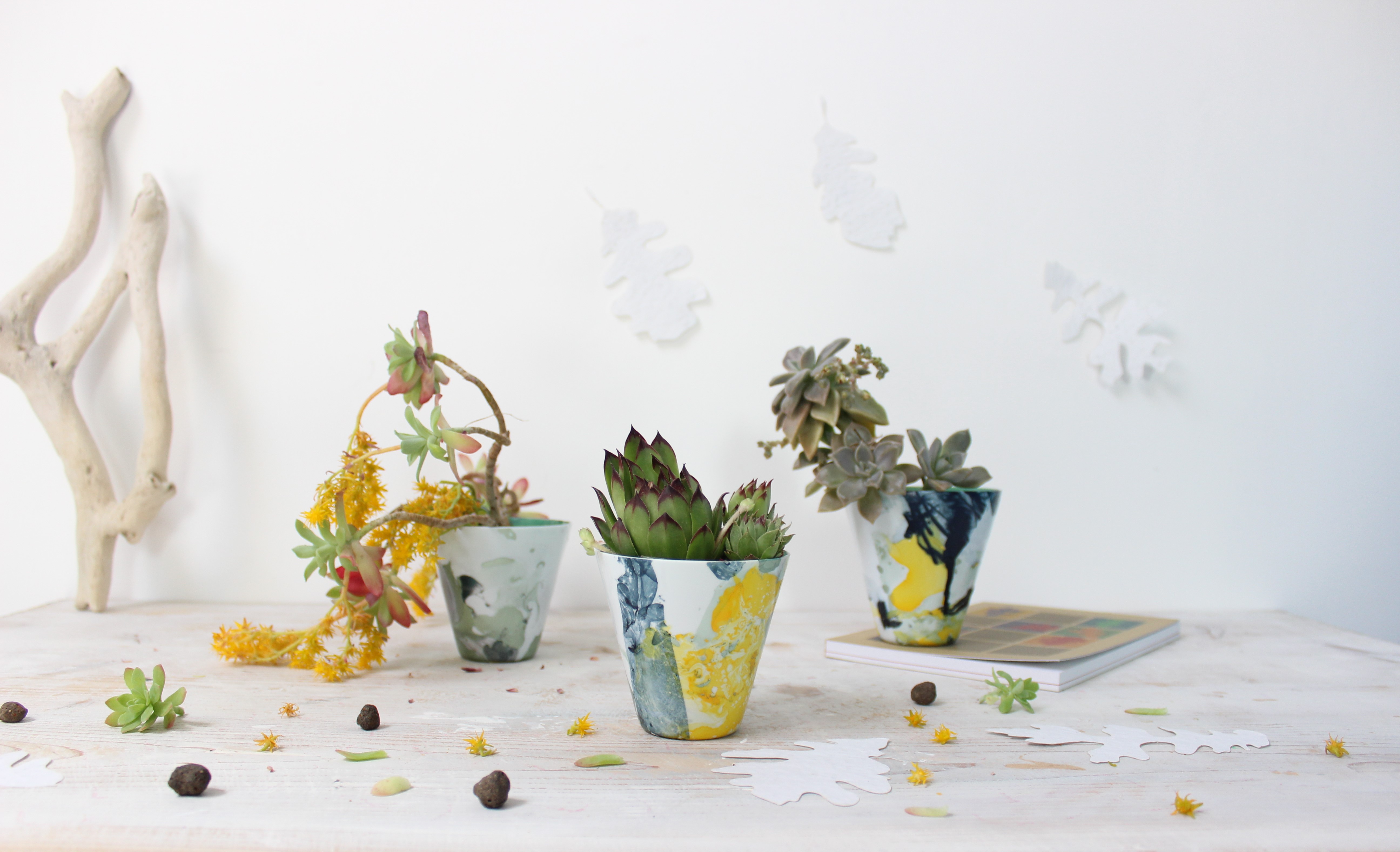 Vasi Fai da te | Come riciclare tazze e bicchieri – DIY Craft